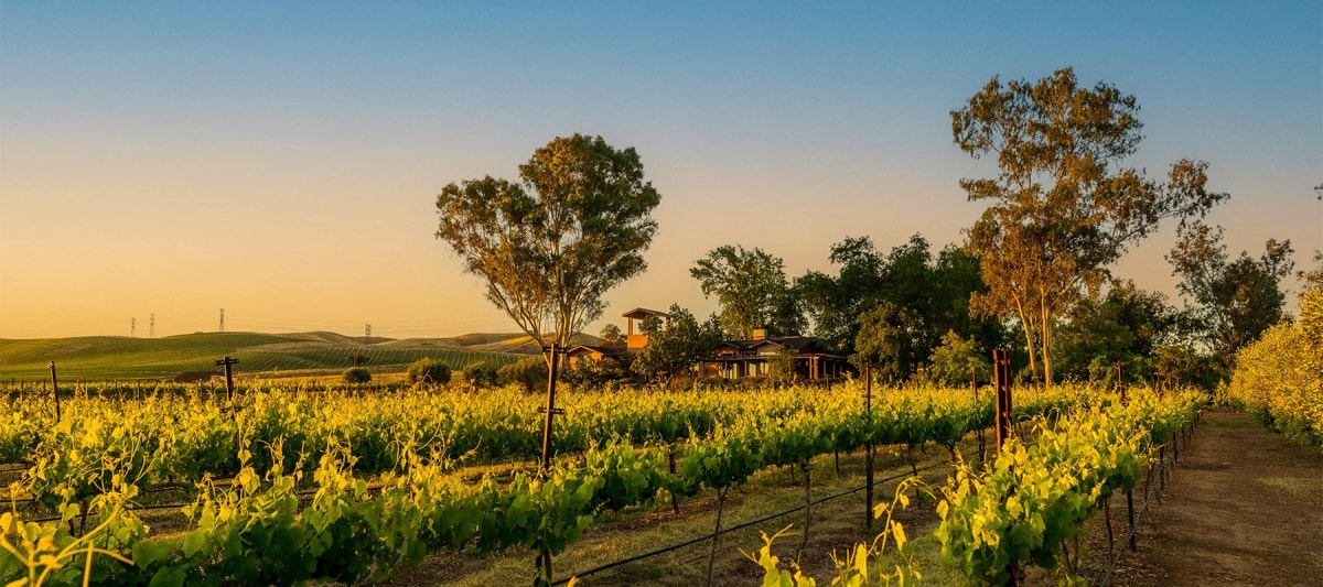 Rodrigue Molyneaux Winery – A Beautiful Garden Getaway