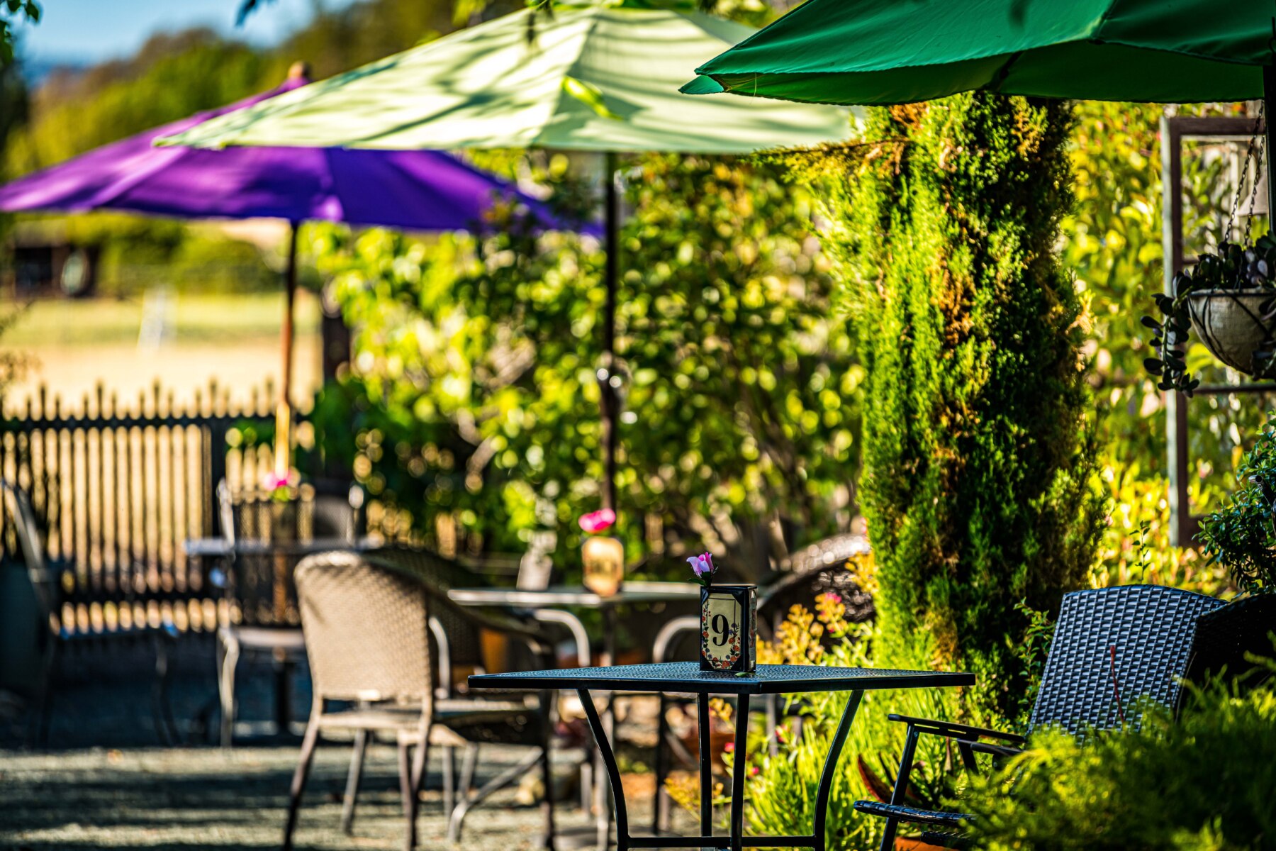 Spring Club Member Release Party - Cinco de Mayo — Rodrigue Molyneaux ...